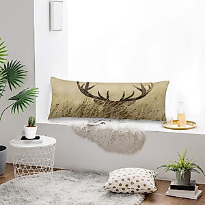 DINJUNA Antler Body Pillow Cover Whitetail Deer Fawn in Wilderness Stag in Countryside Rural Hunting Theme Long Pillow Case Protector Zipper Farmhouse Cushion Bed,Sofa 20''x54'' 6063-Y-004