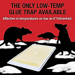 Catchmaster Cold Weather Glue Traps 6PK Mouse Traps Indoor for Home, Pest Control Adhesive Tray, Catch Bugs, Crickets, Spiders, Rats & Rodents, Pet Safe Pre-Baited Glue Boards for House, Shed & Garage