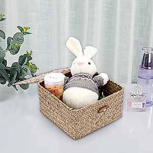 Hipiwe Wicker Shelf Baskets Bin with Lid Handwoven Seagrass Storage Basket Container Square Multipurpose Household Basket Boxes for Shelves and Home Organizer, Coffee Small