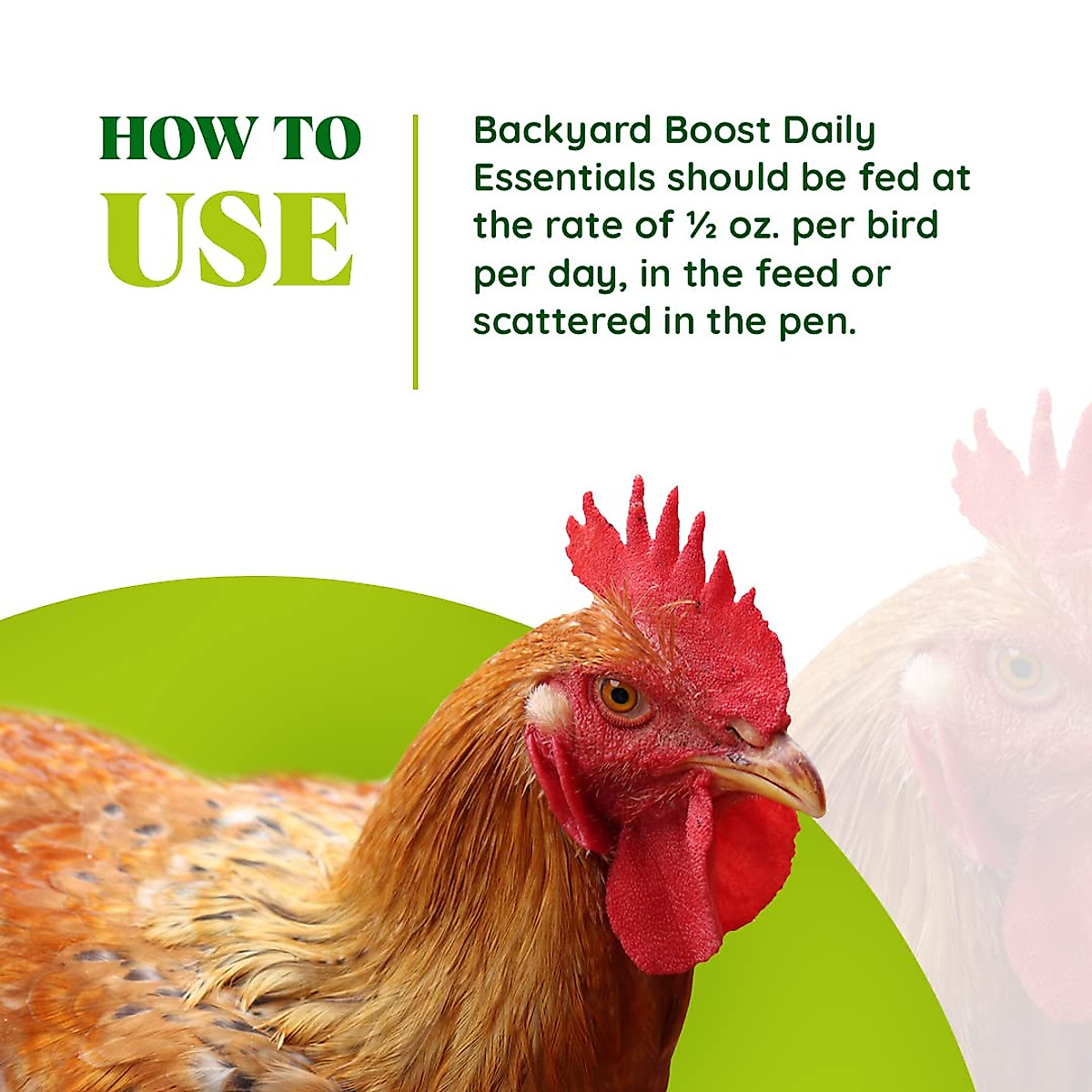 Backyard Boost Daily Essentials Chicken Feed | Palleted High Protein Food for Laying Hens | 2.5 Pound Bag