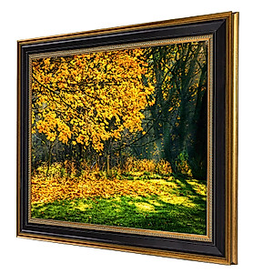 Space Art Deco, 16x20 Picture Frame without Mat for 16x20 Poster/Photo/Print, Shatter-Resistant Real Glass Wall Mounting Display (Black and Ornate Gold Design, 1-Pack)