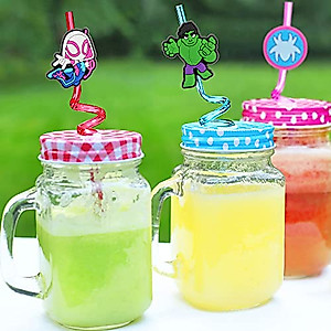25pcs Spider Party Favors Reusable Drinking Straws, 10 Designs Amazing Friends Birthday Party Supplies with 2 Cleaning Brush