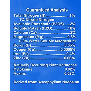 Easy Weed Soluble Seaweed (3.5 oz) Soluble Kelp Supplement | for All Plants & Gardens | Makes UP to 385 GALLONS | Blue Planet Nutrients