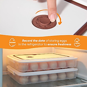 PIUGERU Deviled Egg Containers with Lid, (Set of 2), Plastic Deviled Egg Tray Carrier with Handle for 48 Eggs, Clear Storage Egg Platter for Devil Egg, Fridge Stackable Portable Egg Holder