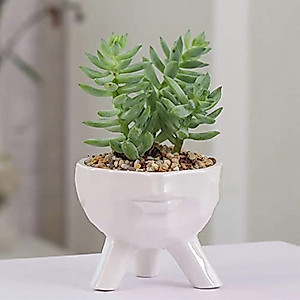 YONGYAN Face Shape Flower Pot Statue Decoration Ceramics Garden Head Planters Containers Pot Bookshelf Office Desktop Decor
