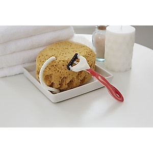 Schick Xtreme3 Women's Disposable Razors with Hawaiian Tropic Scented Handles, 4-Count (Pack of 2)