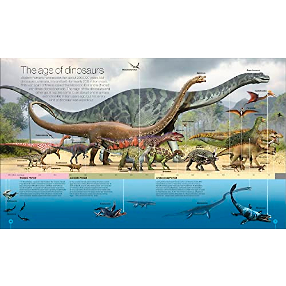 Timelines of Everything (DK Children's Timelines)