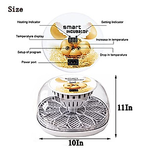 Egg Incubators, 12 Eggs Chicken Incubators Farm Poultry Hatcher Machine, Automatic Egg Turning Temperature Control for Hatching Eggs Chicken Duck Goose Quail Parrot Turkey