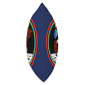 Apollo 11 Eagle Moon Landing Throw Pillow