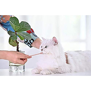 Soft Cat Toothbrush with 360-degree Head | Safe, Effective and Deep Pet Teeth Cleaning | Brush Away Bad Breath | Food Grade Silicone (2 Pack, Mint Green, Rose Pink)