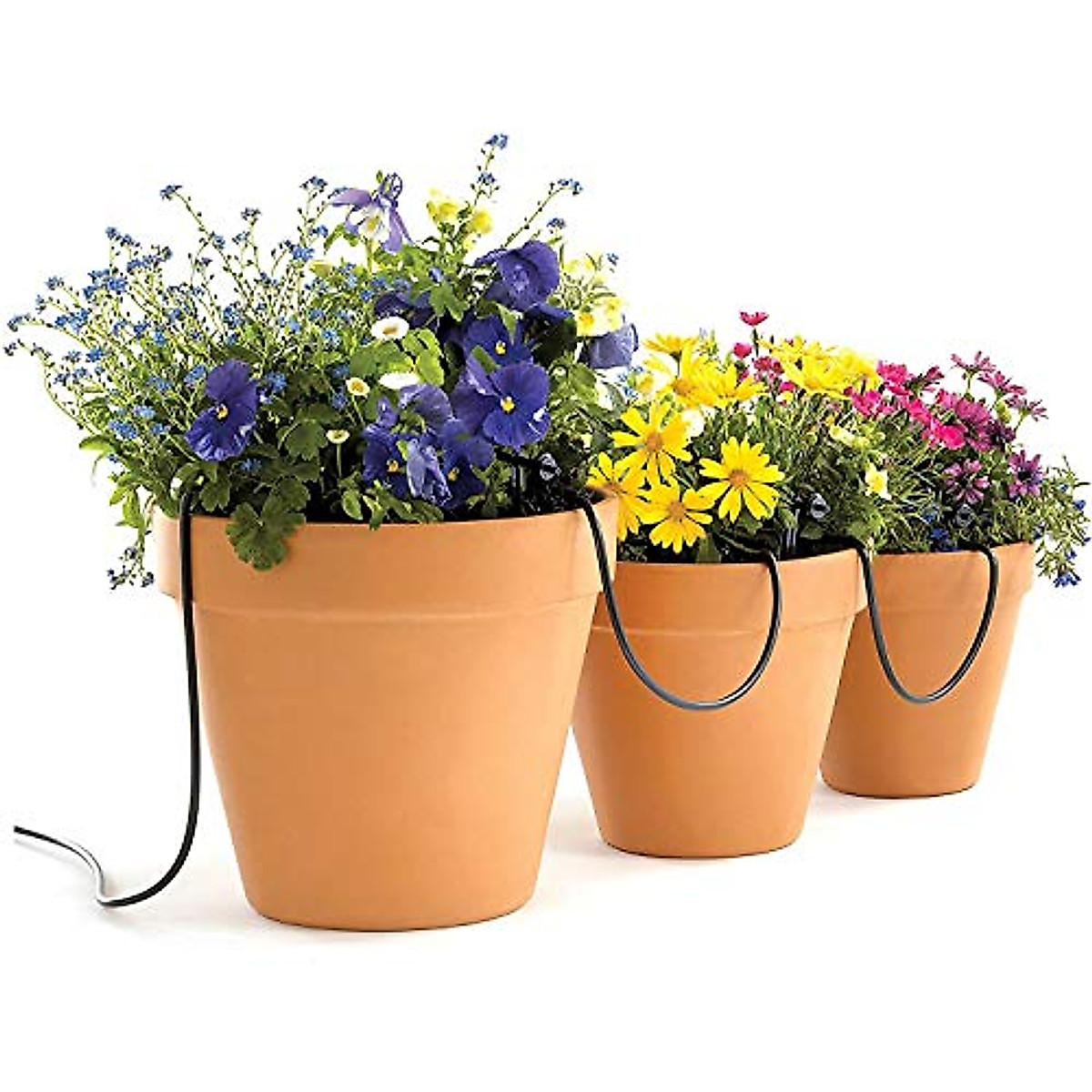 Raindrip R560DP Automatic Drip Irrigation Watering Kit with Timer for Containers and Hanging Baskets, Waters up to 20 Plants, Includes Timer with Customizable Settings and 20 PC Drippers,Black