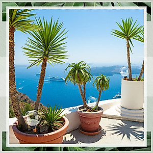 Domensi 4 Pcs Watering Globes Automatic Plastic Self Watering Planter Insert Waterer Watering Bulbs 17 oz for Indoor Plants Drip Irrigation Plant Watering Devices with Slow Release Control for Garden