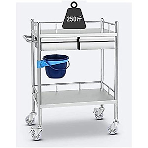 Utility Cart Lab Serving Cart, Medical Cart 2-Layer，Stainless Steel Lab Medical Car with Drawers and Dirt Bucket Mobile Trolley Serving Equipment with Drawers and Silent Omnidirectional Wheel (Size :