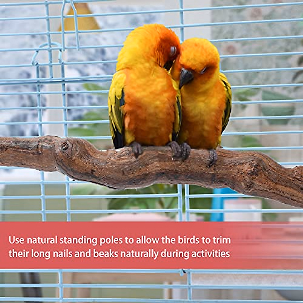 COUNER Bird Parrot Perch Stand Natural Wild Grape Stick Bird Play Stand Bird Toys Grinding Paw Cage Accessories for Cockatiels Budgie Parakeets Conures Love Birds Finches