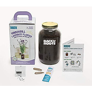 Back to the Roots Lavender Organic Windowsill Planter Kit - Grows Year Round, Includes Everything Needed for Planting