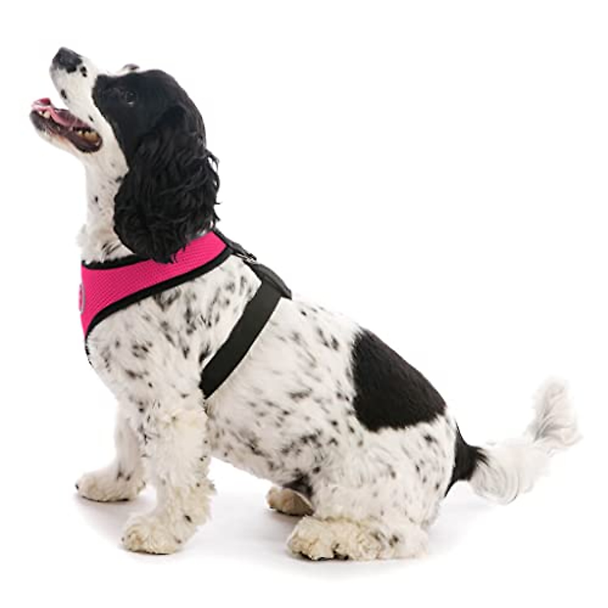 Gooby Soft Mesh Dog Harness - Flamingo Pink, Medium - All Weather Mesh Head-in Small Dog Harness with D Ring Leash - Perfect on The Go Breathable Dog Harness for Medium Dogs No Pull and Small Dogs