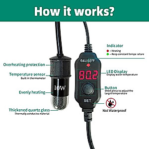 USB Adjustable 10W Mini Aquarium Heater Submersible Fish Tank Heater,Small Fish Tank Heater with LED Digital Display Thermostat, Betta Heater Turtle Heater for 1-2 Gallon Tanks