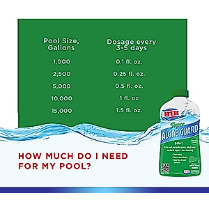 HTH 67032 Super Algae Guard Swimming Pool Algaecide Cleanser, 1 qt