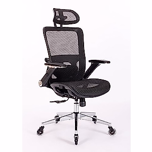 Office Chair, High Back Ergonomic Desk Chair, Breathable Mesh Desk Chair with Adjustable Lumbar Support and Headrest, Swivel Task Chair with Armrests, Executive Chair for Home Office (Black)