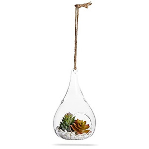5-Pack Hanging Glass Terrarium Containers for Air Plants, Succulent Planter Vase Hangers for Home Decoration, Teardrop Tealight Ornaments, Candle Holder, Unique Decor, Centerpiece (3x5.5 in)