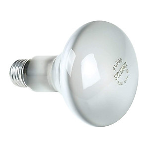 Sylvania 15160-6 120-Volt 65-Watt Flood Lamp Bulbs (6 Pack)