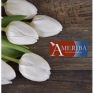 30PC Biodegradable Remembrance Balloons: White & Silver Personalizable Funeral Balloons for Balloon Releases & Sympathy Gifts | Created/Sold by AMERIBA, a USA company (Variety Pk White, Black Writing)