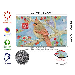 Toland Home Garden 800262 Noel Cardinal Winter Door Mat 18x30 Inch Bird Outdoor Doormat for Entryway Indoor Entrance