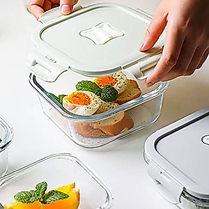 GAGALU Metal Lunch Box Divided Glass Fresh Keeping Box for Family, Two Compartments,with Seal Locking Lids