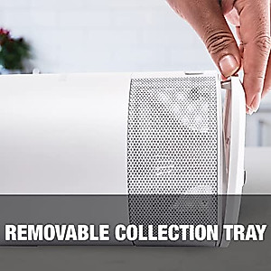 Sun Joe SJ-BZ15W-WHT UV Indoor Insect Fruit Fly Trap for Small Flying Insects, Non-Toxic UV Light, Non-Zapper, Bug Light w/10-Sticky Glue Traps Included, White