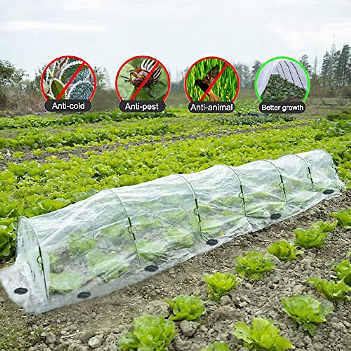 Mini Greenhouse Tunnel Greenhouses for Outdoors, Green House Hoops Small Greenhouse Kits to Build, Green Houses for Outside Greenhouse Cover Garden Hoops Raised Beds