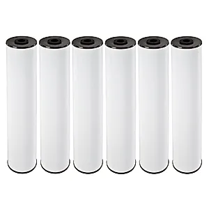 Pentek RFFE20-BB Big Blue 20x4.5 Whole House Iron Reduction Water Filter 6 Pack