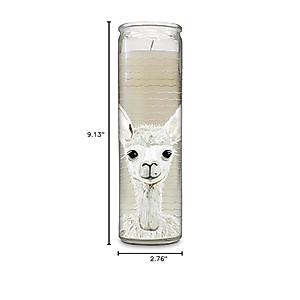 Scented Cathedral Candle by Studio Oh! - 13-Ounce Soy-Blend Wax Pillar Candle in Decorative Glass Container - Passion Fruit - Burns up to 115 Hours