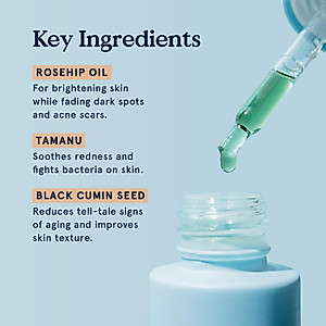 Blume Meltdown - Blue Tansy Face Oil - Acne Treatment + Pore Minimizer - Skin-Smoothing Face Serum with Black Cumin Seed & Rosehip Oil - Helps Calm Redness and Improve Texture (0.5 oz)