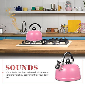 MAGICLULU Buzzing Kettle Heating Pot Whistling Teapot Whistling Water Kettle Teapot for Stovetop Mini Tea Kettle Tea Kettle Top Chinese Teapot Sound Pot Spherical Stainless Steel 7.9 x 7.3Inch