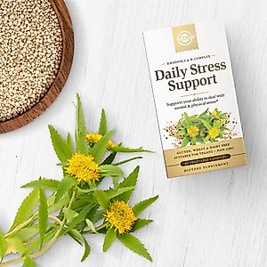 Solgar Daily Stress Support, 30 Vegetable Capsules – Build Resistance to Stress & Mental Fatigue – Support Ability to Stay Calm – Contains Clinically-Studied Rhodiola & B-Complex, Non-GMO, 30 servings