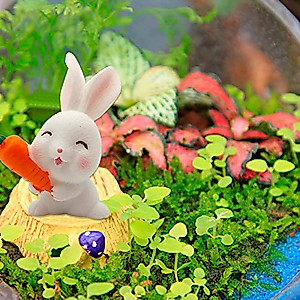 39 Pcs Miniature Fairy Garden Kit for Kids Mini Animal Miniatures Rabbit Mushroom Fairy House Garden Accessories,Micro Landscape Ornaments DIY Kit Environmental Resin Miniatures Terrarium Decor