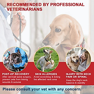 BUVUB Dog Cervical Collar Neck Brace, Help Pets Recovering From Vertebral Neck Injuries Sprains, Hernias Prevent Pets From Anti-bite Lick Wound Healing, Wounds and Rashes, Accelerated Recovery (Large)