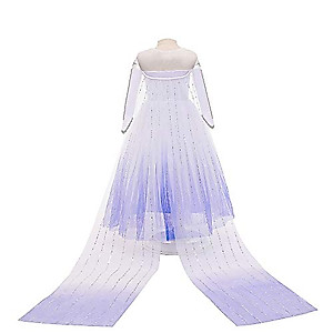 Little Girl Princess White Snow Party Dress Queen Costumes with Accessories (4T, White with Accessories)
