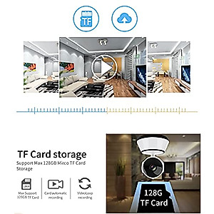 Qiocobo Smart pet Camera for Dog Cat,2 Way Audio Voice Interaction, pet Monitor Detection Alarm, Night Vision Security Camera, Picture Alarm Push