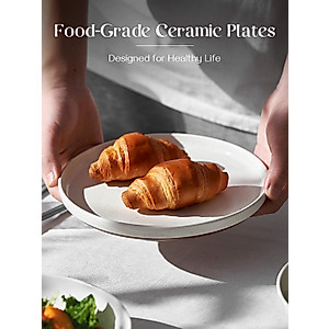 DOWAN 8.5" Moon-White Sesame Glaze Dinner, Dessert & Salad Plates Set of 6, Porcelain Ceramic, Microwave, Oven & Dishwasher Safe, Perfect for Daily Dining, Family Gatherings, Parties & Gifts