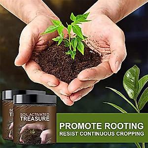 Soil Activated Treasure-You Will Be Amazed! Premium Soil Activated Treasure, Soil Plant Flower Fertilizer, Soil Activator for Raised Garden Beds, Potting Mix, Lawns and Gardens (2pcs)