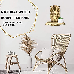 HY&GH Floating Shelves for Wall with Unique Owl Sculpture Statue Wood Hanging Shelves Plant Holder Shelf for Farmhouse Decor Living Room Decorations Wall-Mounted Display Rack