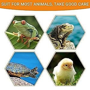 YOUTHINK Heat Lamp Holder, Ceramic E27 Heat Lamp Socket with Independent Switch Without Bulb for Turtle/Snake/Lizard Reptile 300W 110-240V (US Plug)