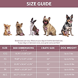 MidWest Homes for Pets Bolster Dog Bed 18L-Inch Pink Dog Bed or Cat Bed w/ Comfortable Bolster | Ideal for "Toy" Dog Breeds & Fits an 18-Inch Dog Crate | Easy Maintenance Machine Wash & Dry