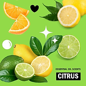 Molly's Suds Natural Liquid Dish Soap | Long-Lasting, Powerful Plant-Powered Ingedients | Herbal Lemon Scent | 16 oz - 2 Pack