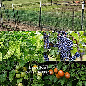 BaseGoal All-Weather Trellis Netting Mesh Plant Garden Vine Growing Flexible String Net (3.5" Mesh ployester, 5' Wx 15'L)