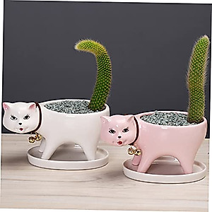 HANABASS Decoration Animal Lovely Tail Pink Decor Gift and Saucer Office Cat Desktop Planter Plant Shaped Drainage Bonsai Flowerpot Mini Panda Pots with for Statue Decorative Pot Home Tray