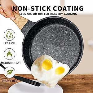 TIAJO Nonstick Deep Frying Pan, No Fumes Skillet, Stone-Derived Coating, Compatible with All Stovetops (Gas, Electric & Induction), Send 1 Sponge, PFOA Free, Gray (9.5 Inch Lidless)