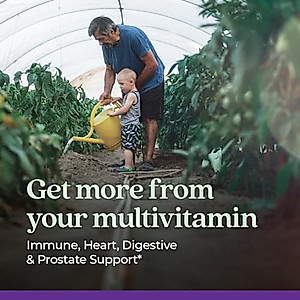 New Chapter Men's Multivitamin 50 plus for Brain, Heart, Digestive, Prostate & Immune Support with 20+ Nutrients + Astaxanthin - Every Man's One Daily 55+, Gentle on The Stomach - 72 ct