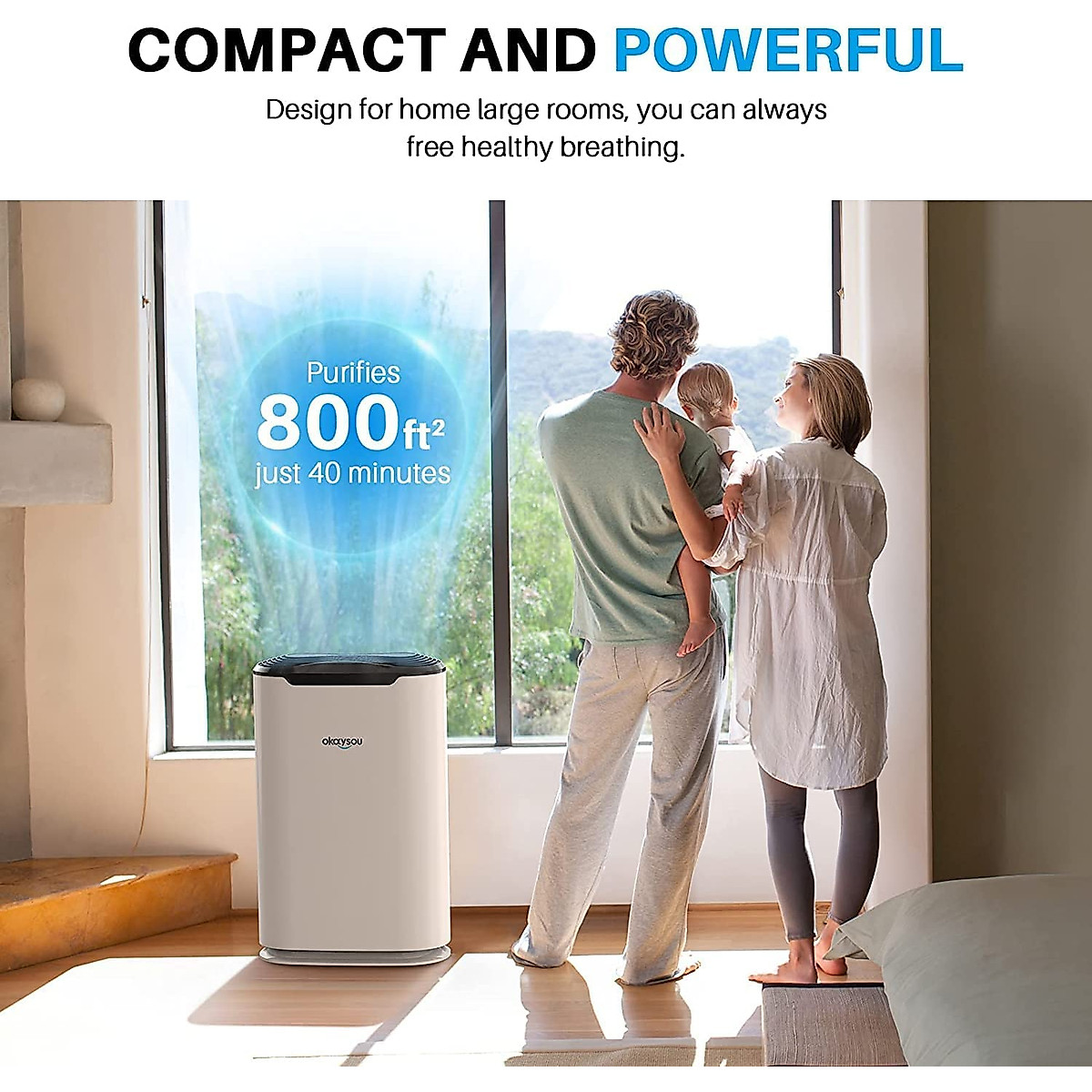 Okaysou AirMax 8L Air Purifier Replacement Active Carbon & Cold Catalyst Filter B
